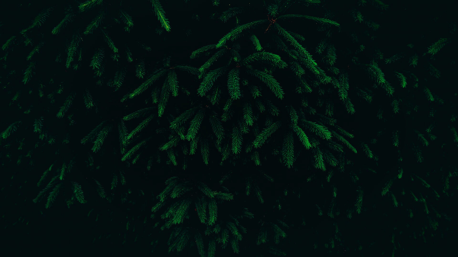 Mes Attentes Professionnelles :: Irfaan ATCHIA