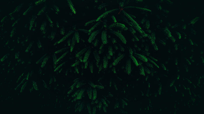 Booking :: Blake Morse