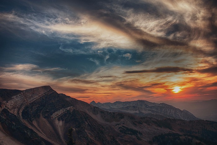 Koncerty :: Focus rock