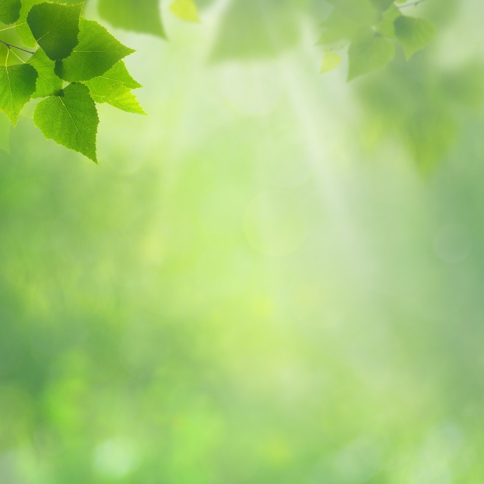 Algebra 1 chapter 4 :: Chiangmath