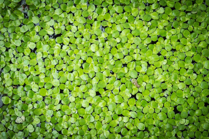 Contact :: cypf.org.uk