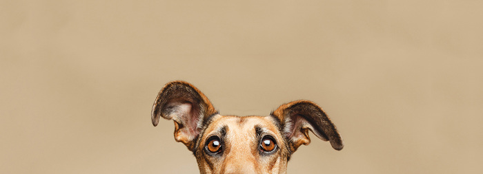 How to trade with the Wealth Matrix :: helloearth